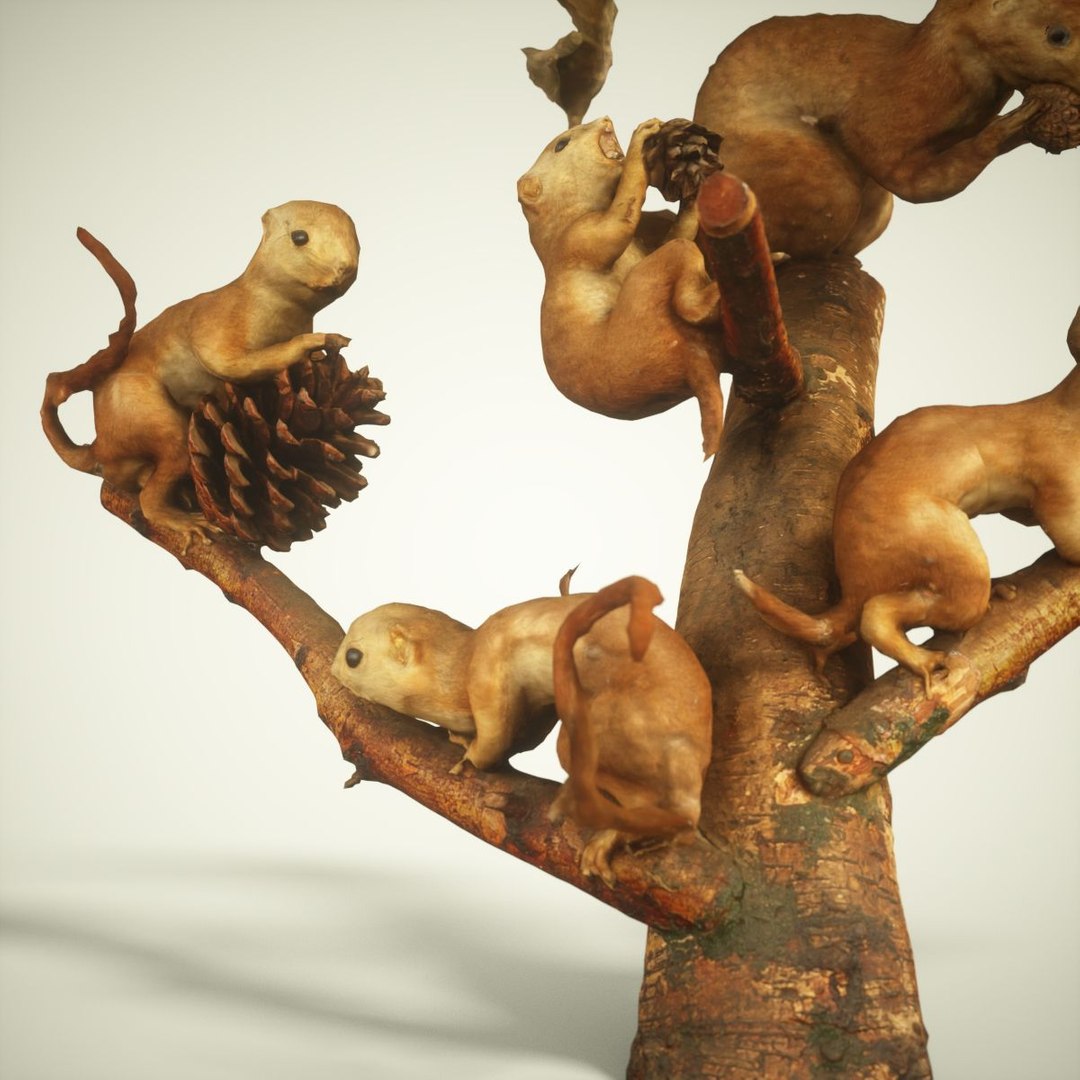 3D Model Animal Digital Photogrammetry - TurboSquid 1162959