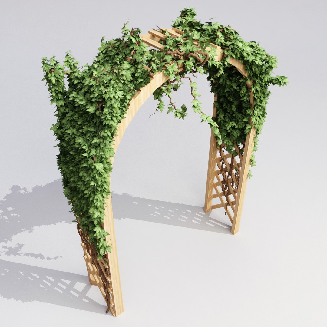 3d arbor ivy model