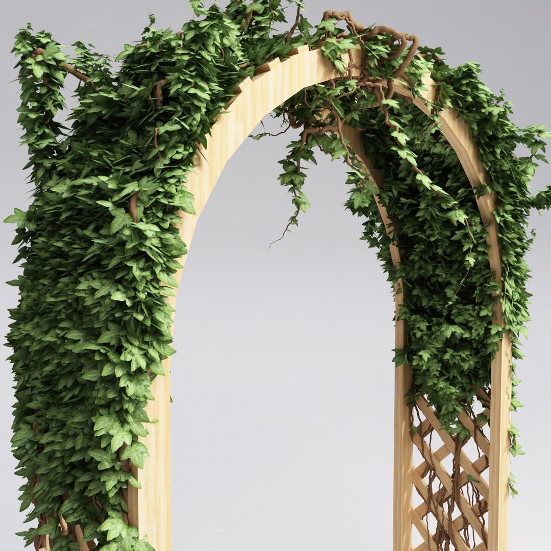 3d arbor ivy model