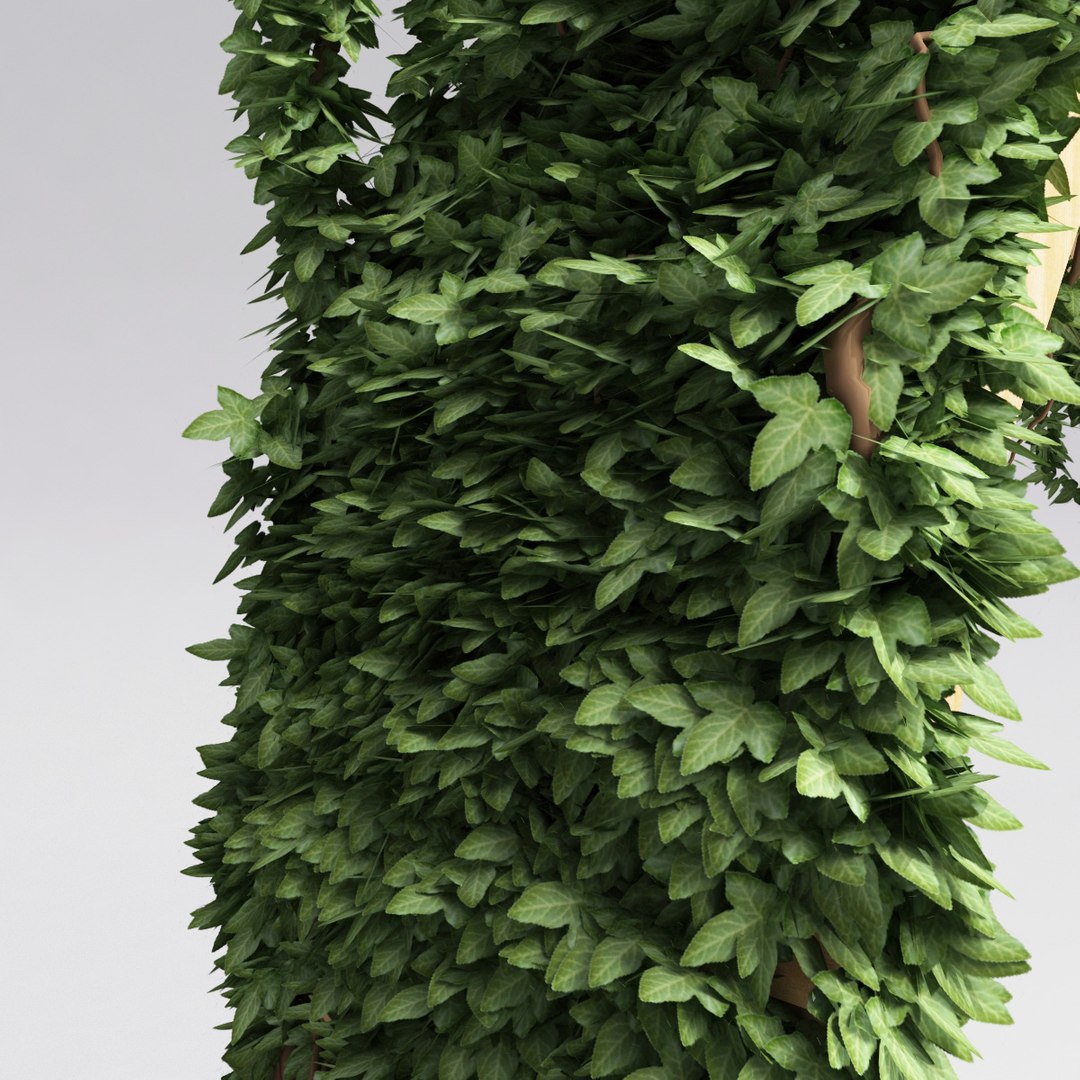 3d arbor ivy model