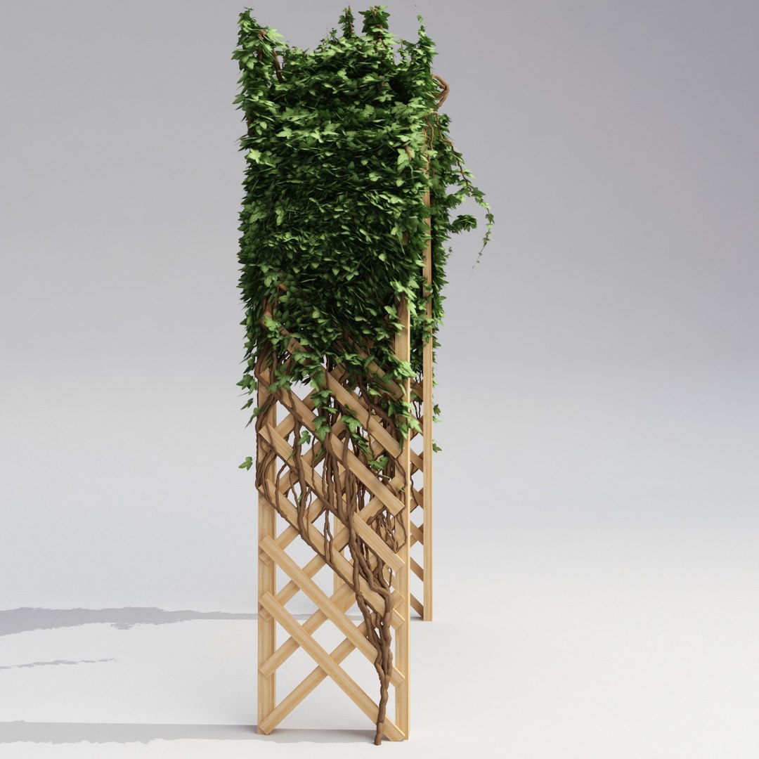 3d arbor ivy model