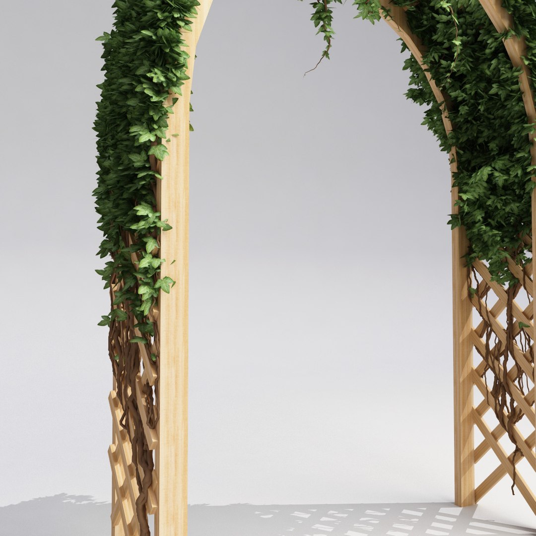 3d arbor ivy model