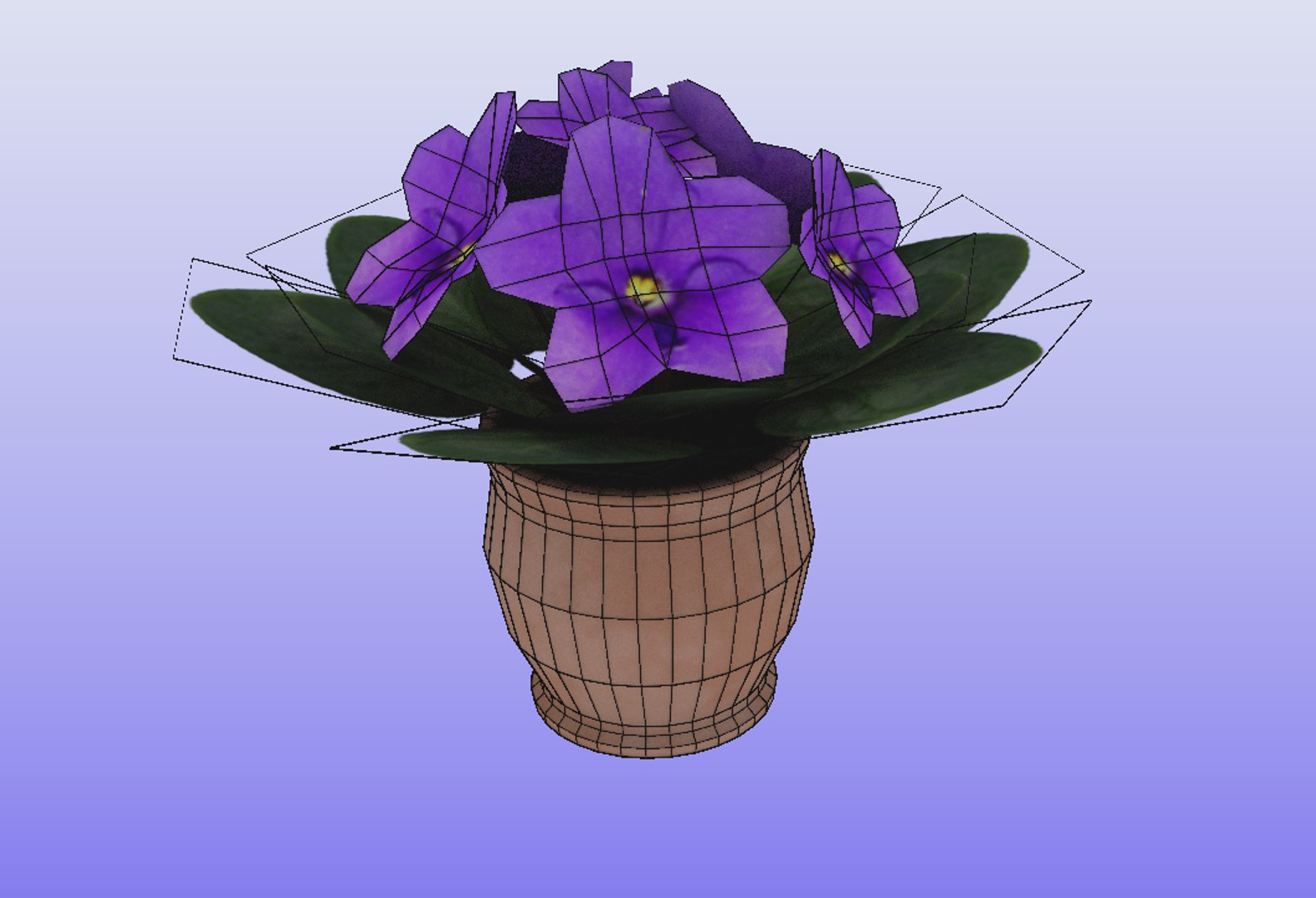 violets 3d model