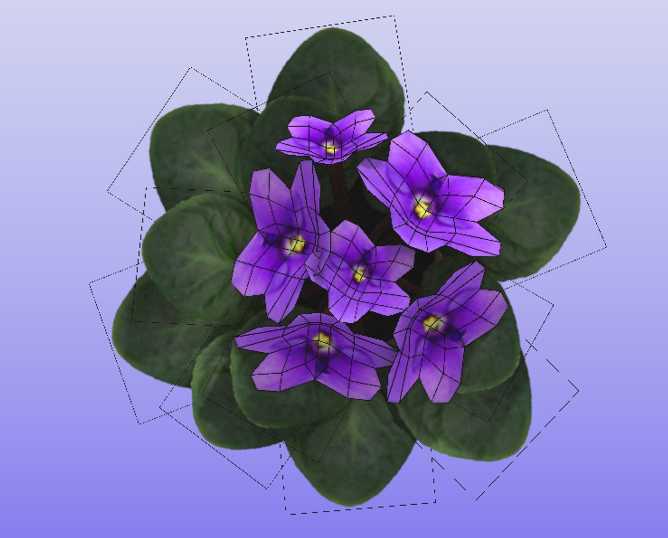 violets 3d model
