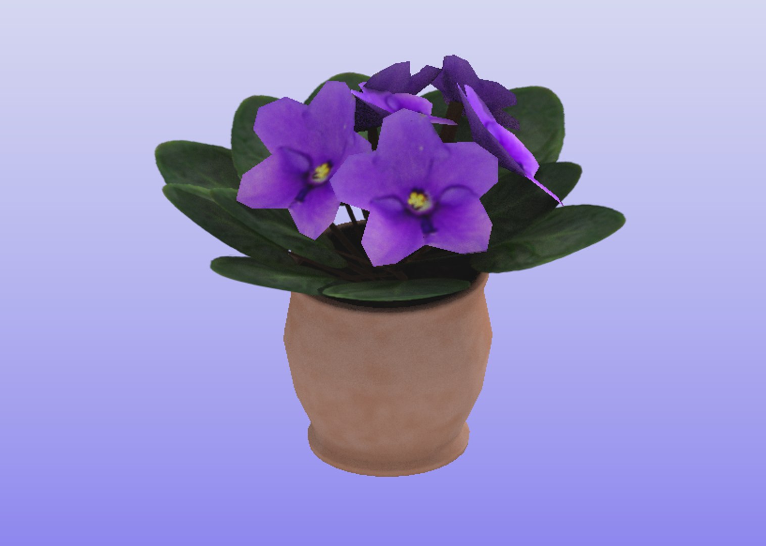 violets 3d model
