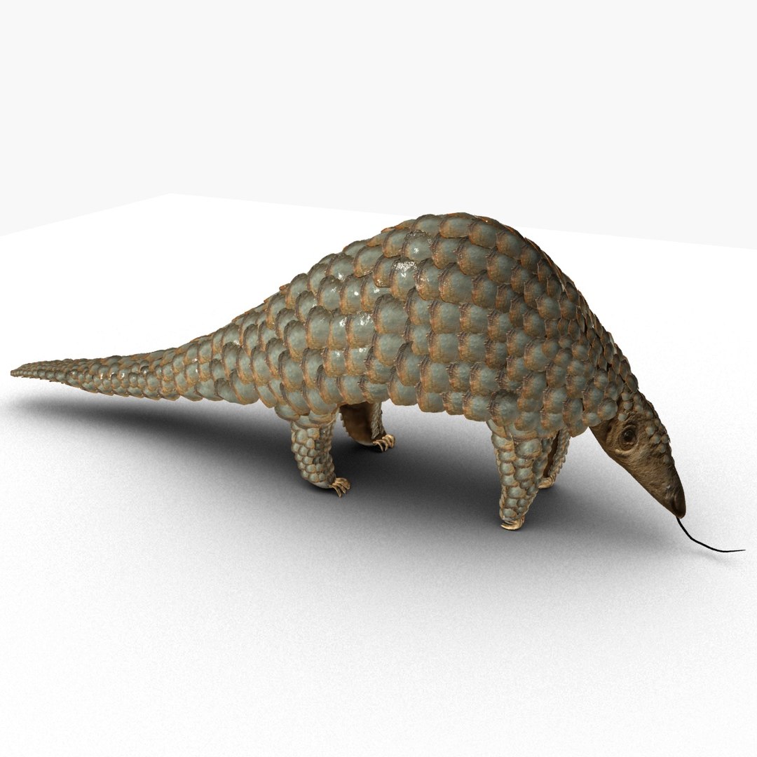 Pangolin Model - TurboSquid 1730445