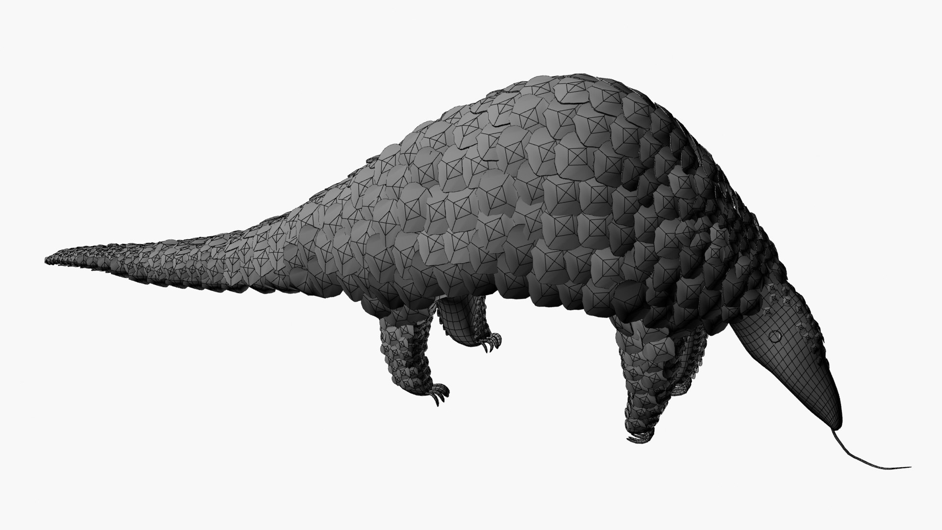 Pangolin Model - TurboSquid 1730445