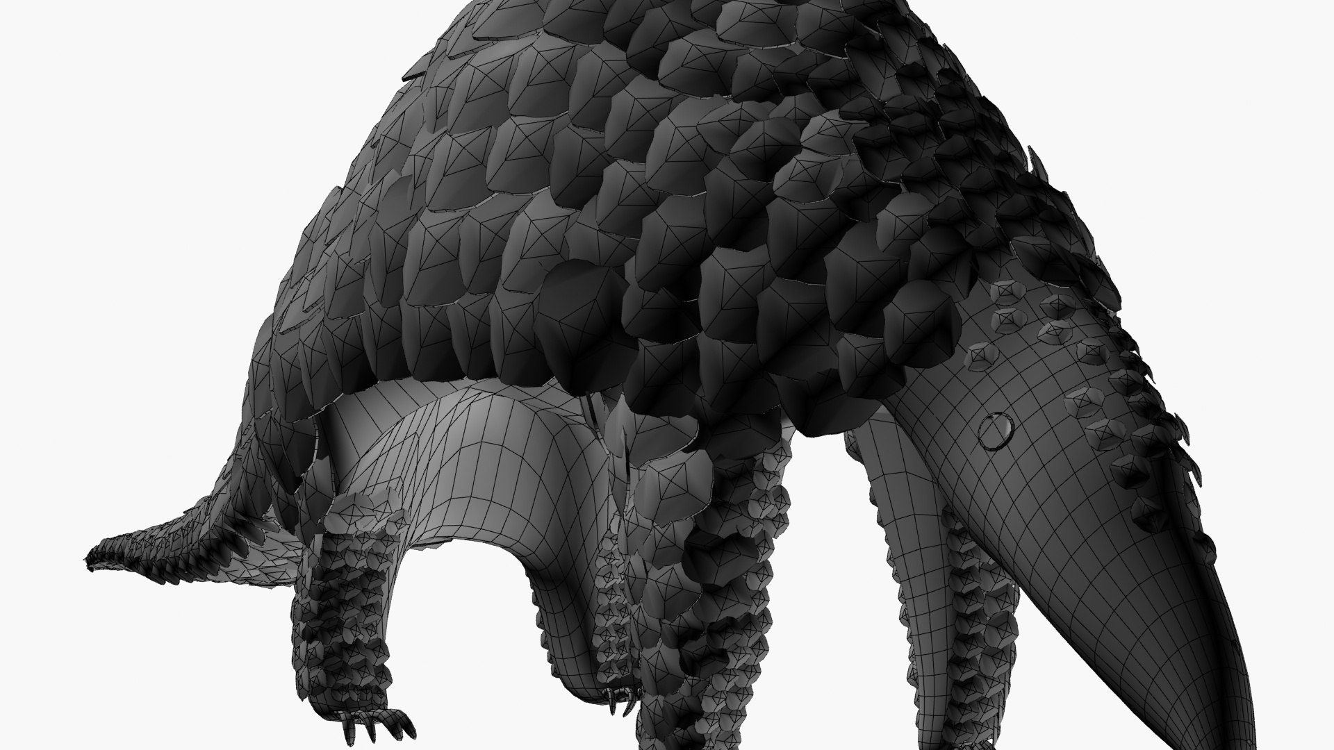 Pangolin Model - TurboSquid 1730445