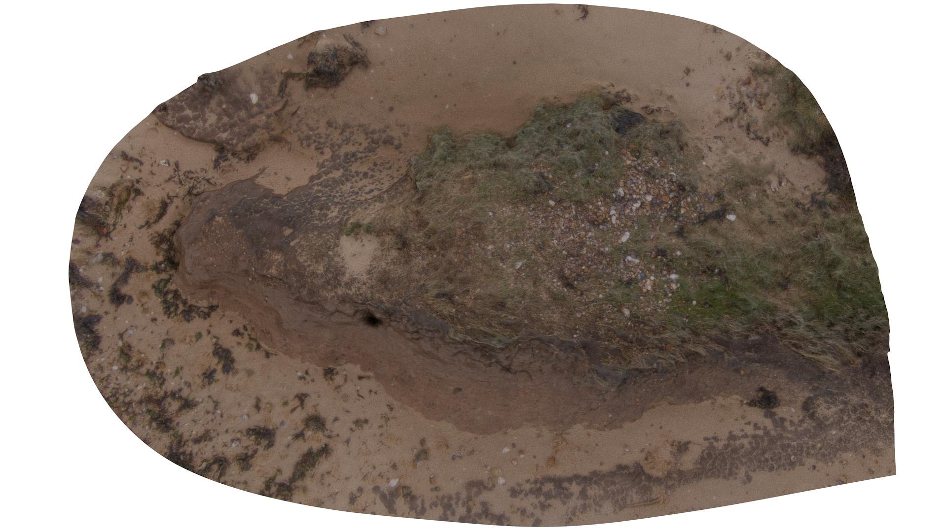 Obj Beach Mud Mound