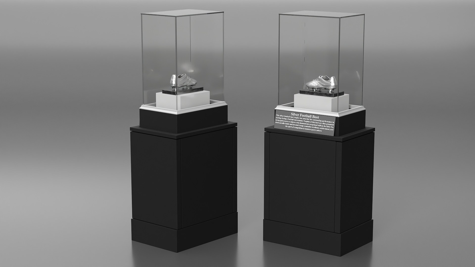 3D Silver Cleat Trophy On Plinth With Info Plaque - TurboSquid 2411196
