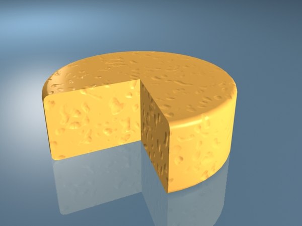 3d slice cheese model