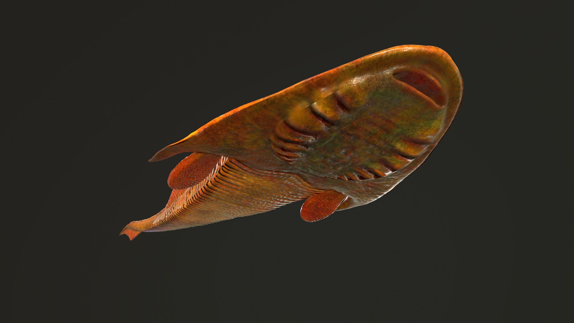 3D Cephalaspis - TurboSquid 1616278