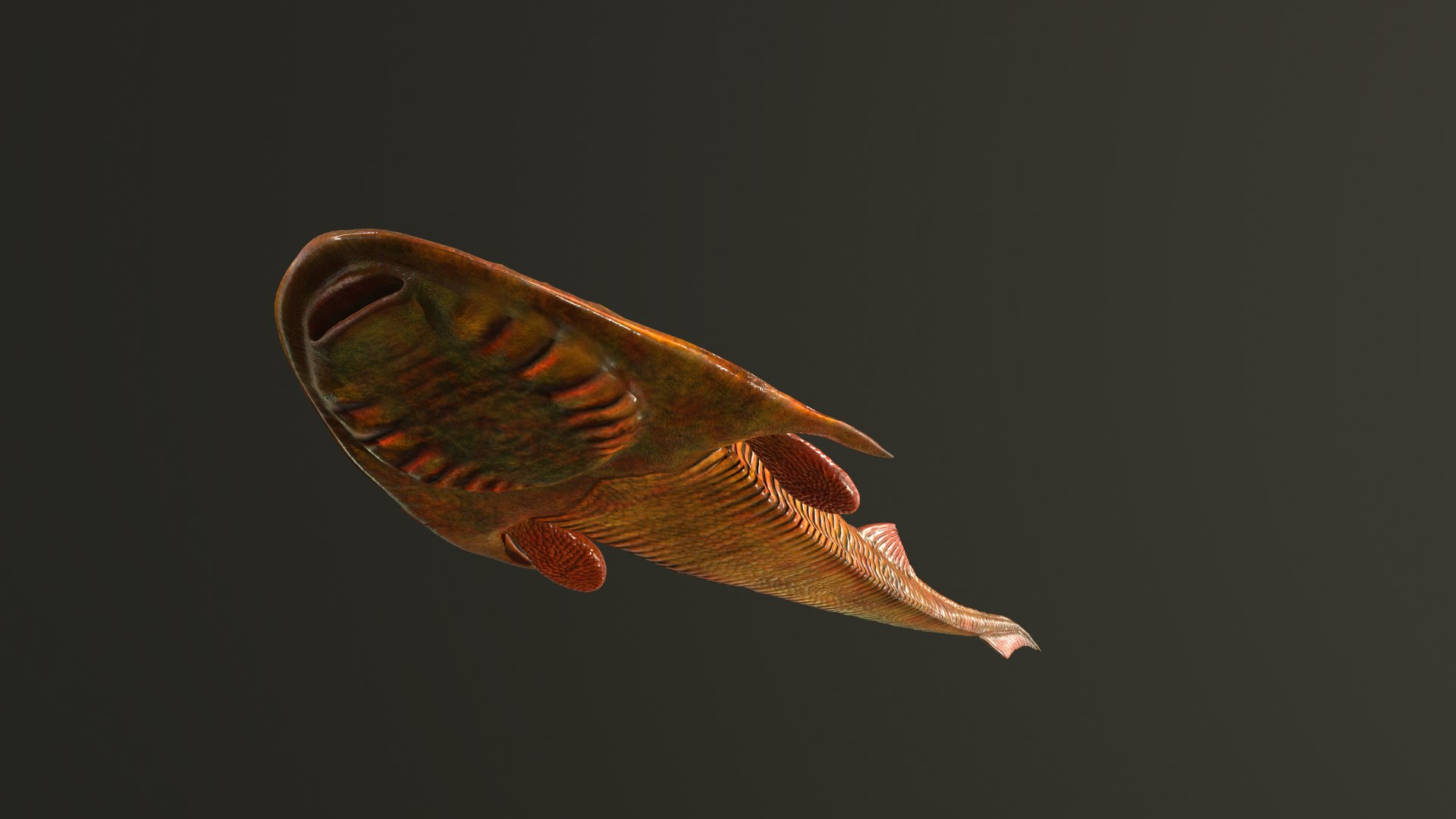 3D Cephalaspis - TurboSquid 1616278