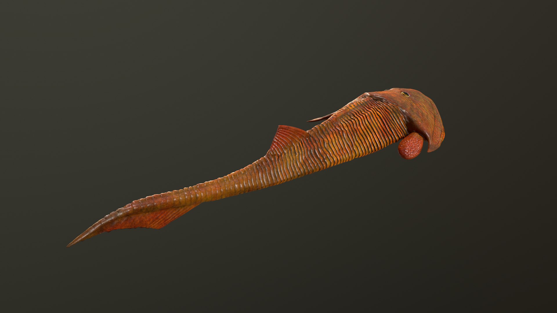 3D Cephalaspis - TurboSquid 1616278