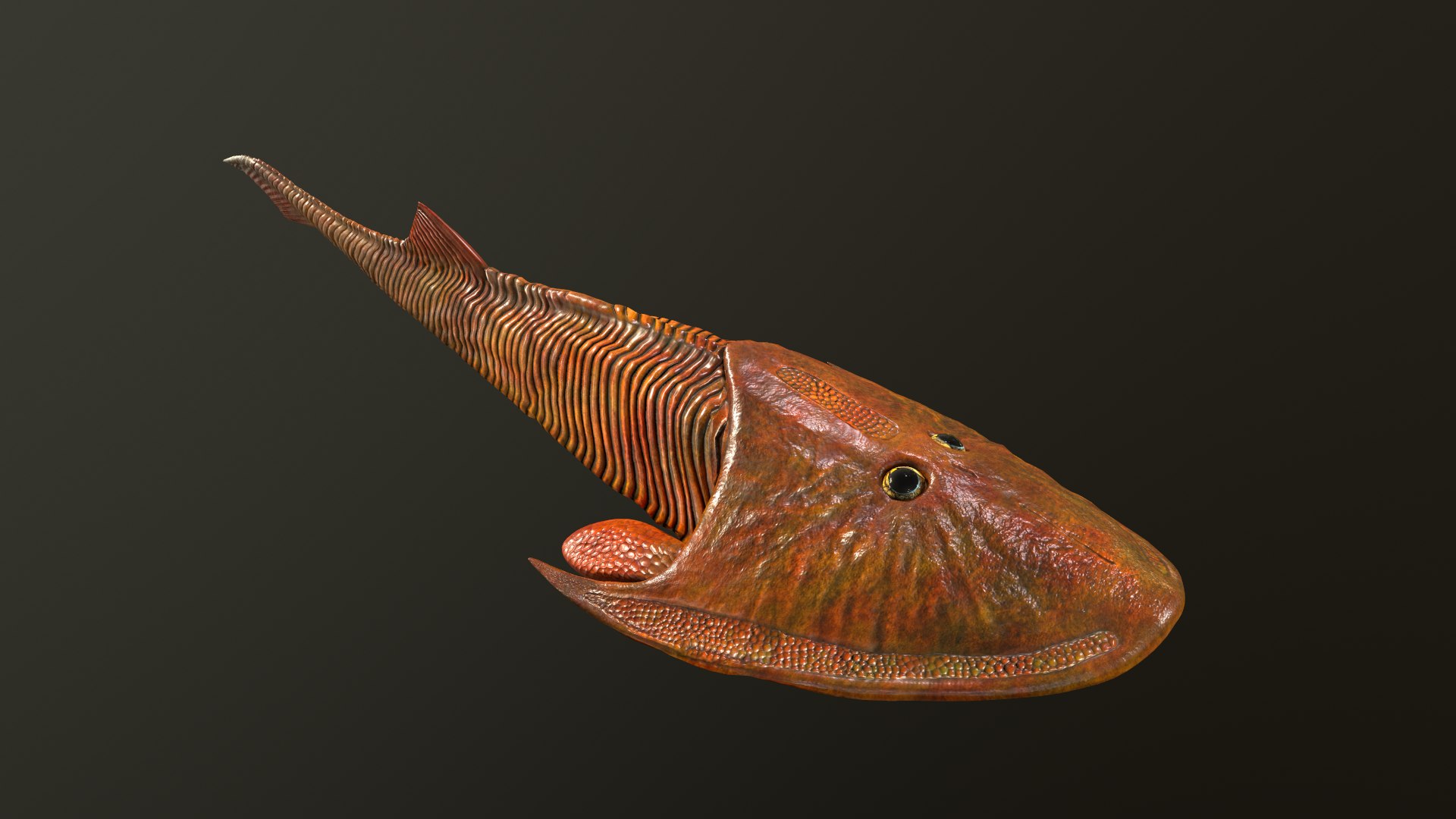3D Cephalaspis - TurboSquid 1616278