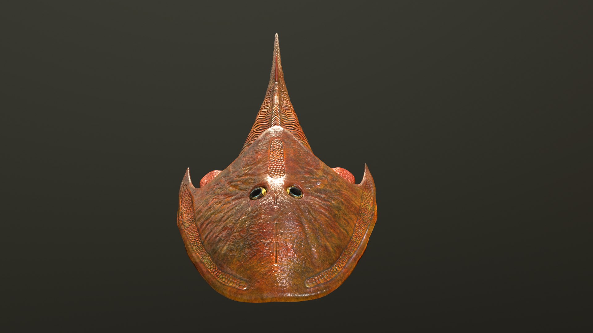 3D Cephalaspis - TurboSquid 1616278