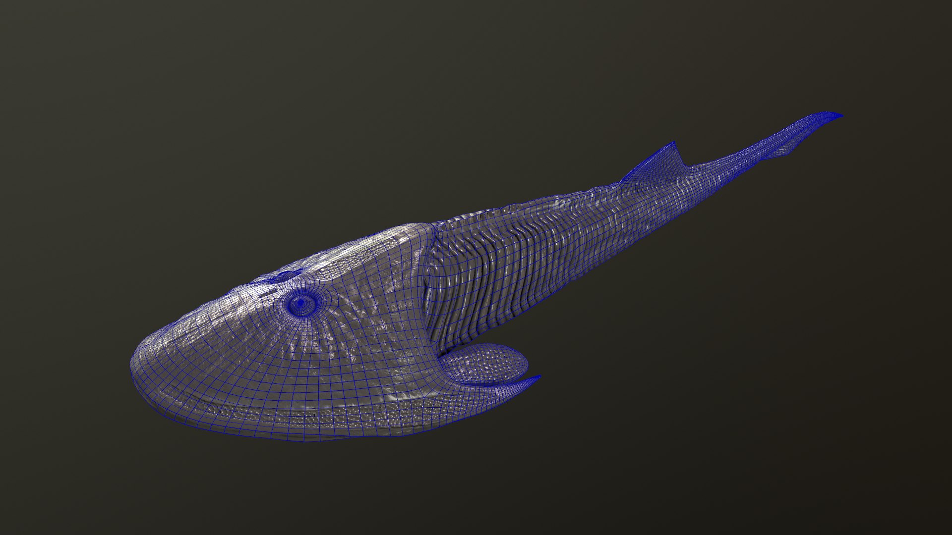 3D Cephalaspis - TurboSquid 1616278