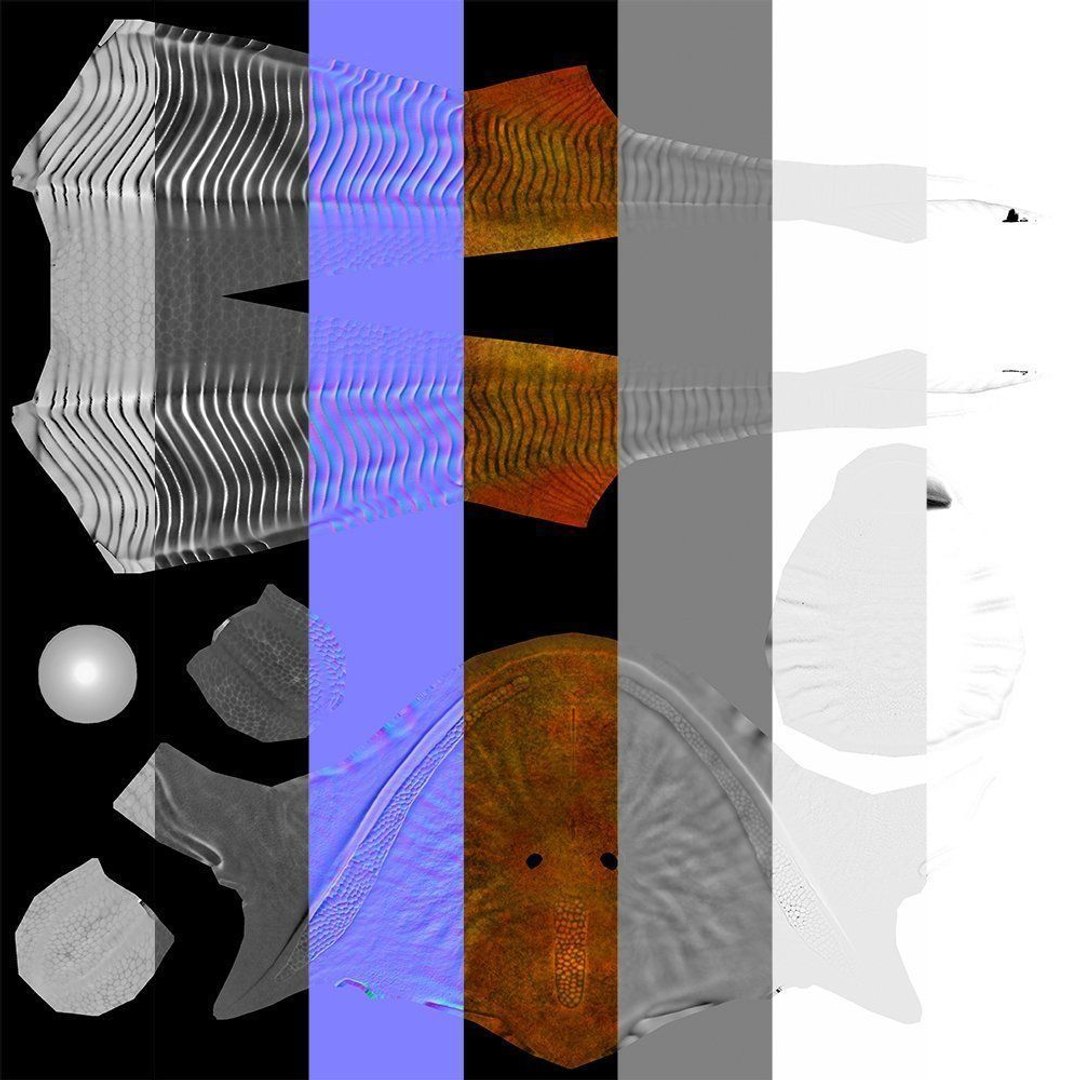 3D Cephalaspis - TurboSquid 1616278