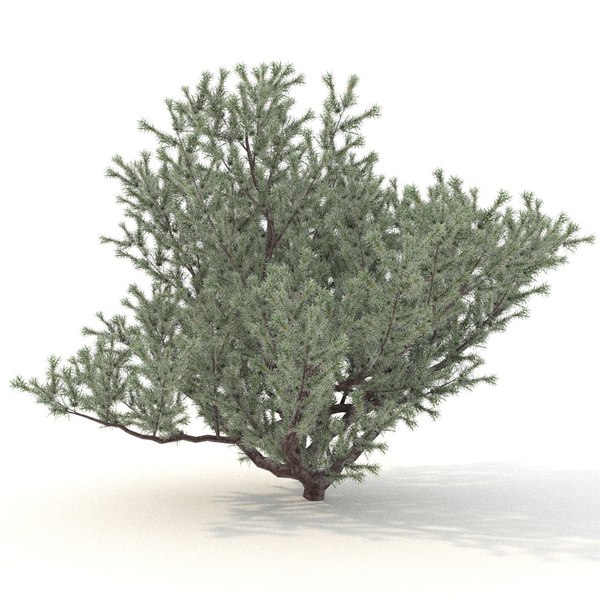 3D 3d bush model - TurboSquid 1194577