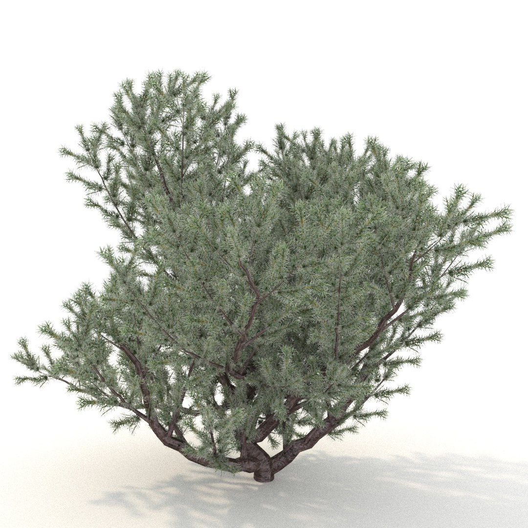 3D 3d bush model - TurboSquid 1194577