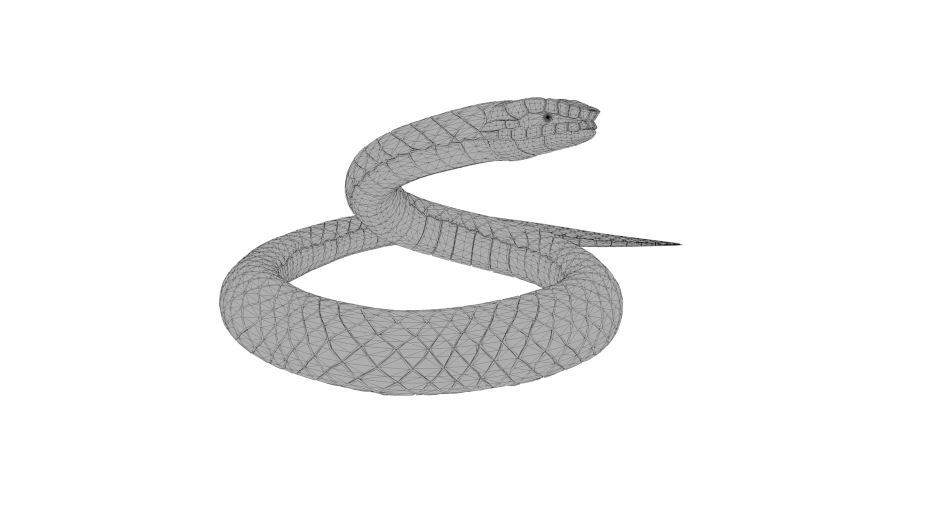 Snake 3D Model - TurboSquid 2254870