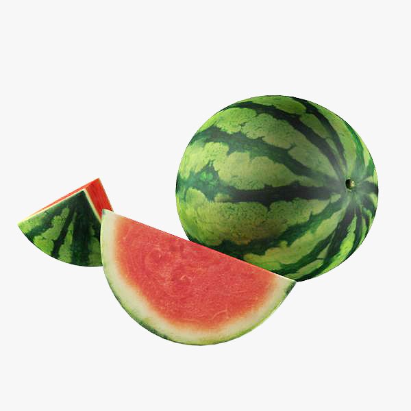 3d model watermelon hi