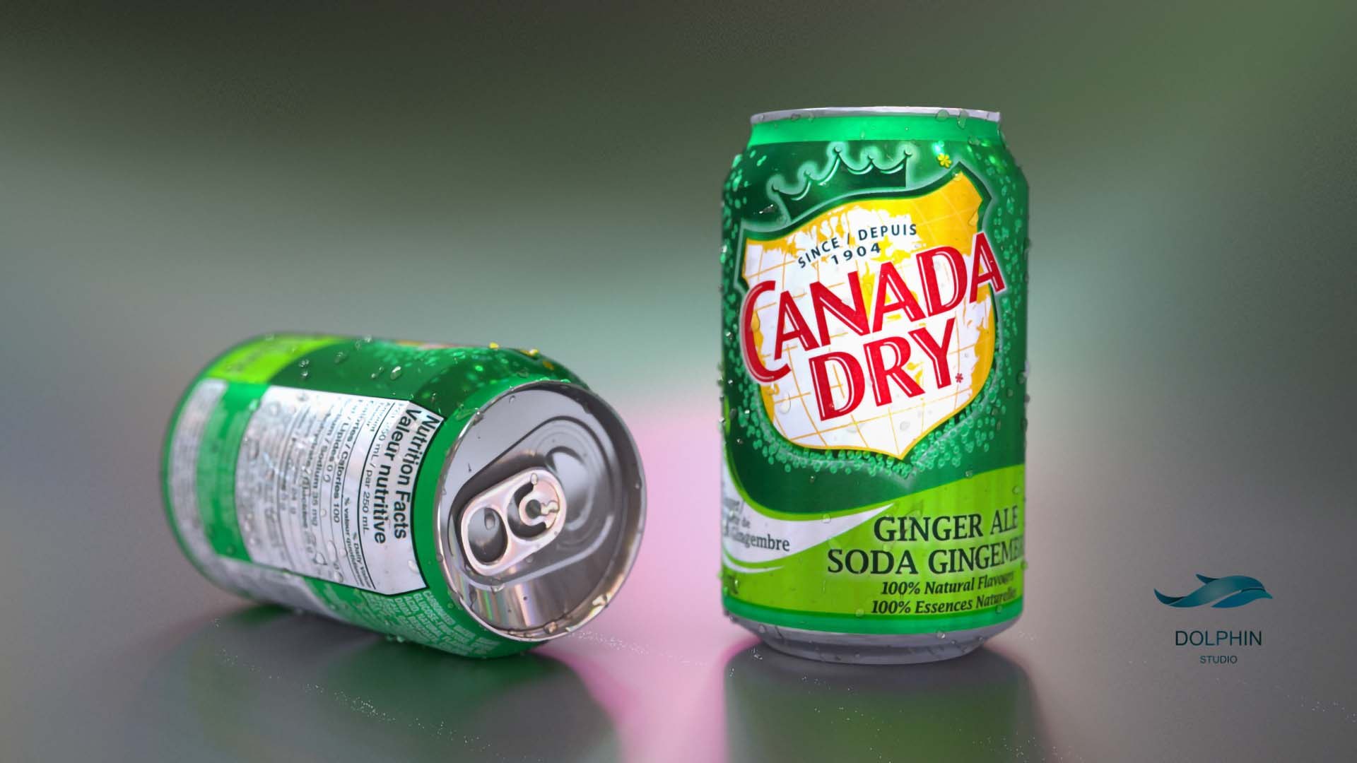 Canada Dry Can 3D Model - TurboSquid 1735253