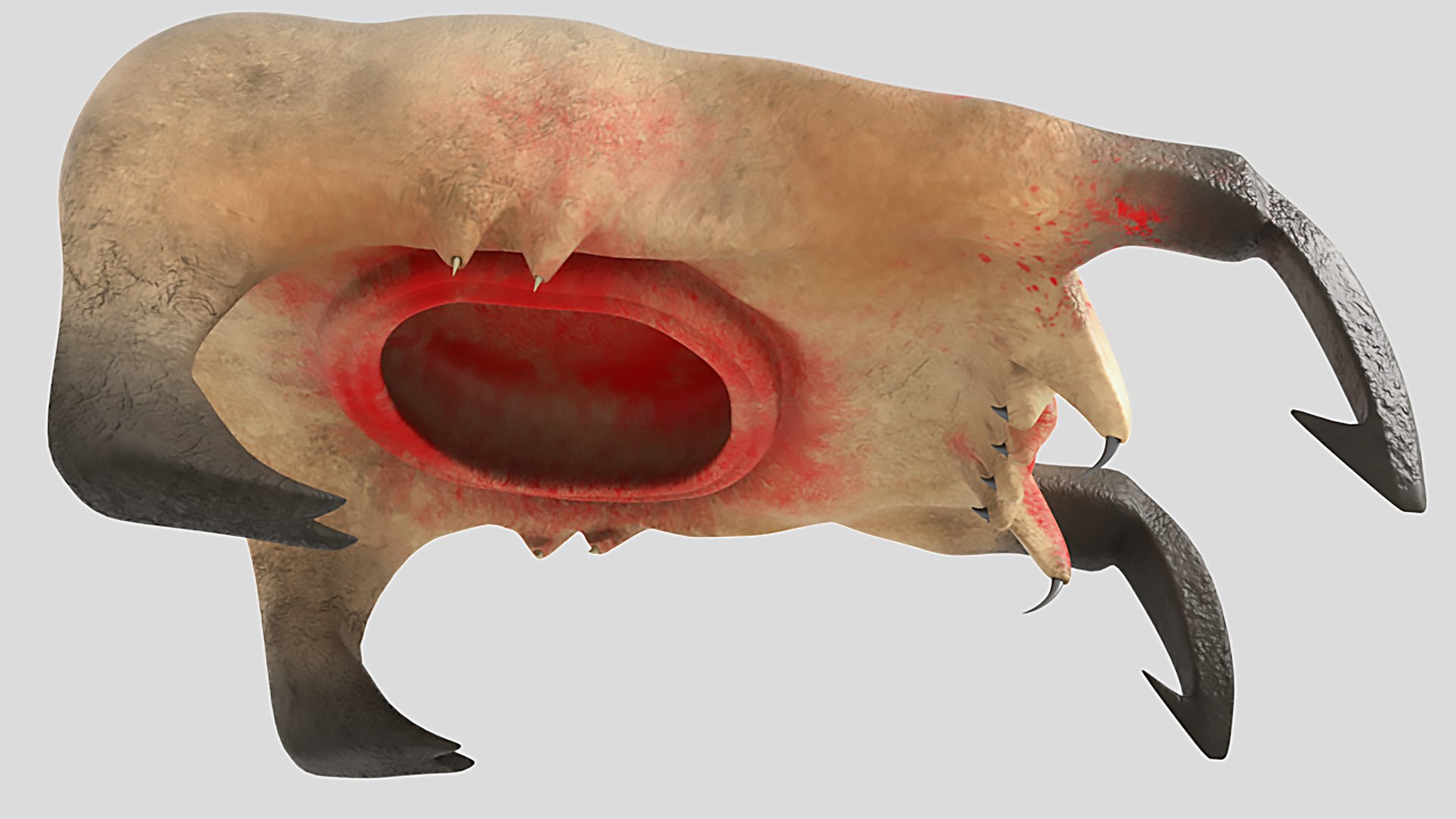 Headcrab Half-life 3D Model - TurboSquid 1713649