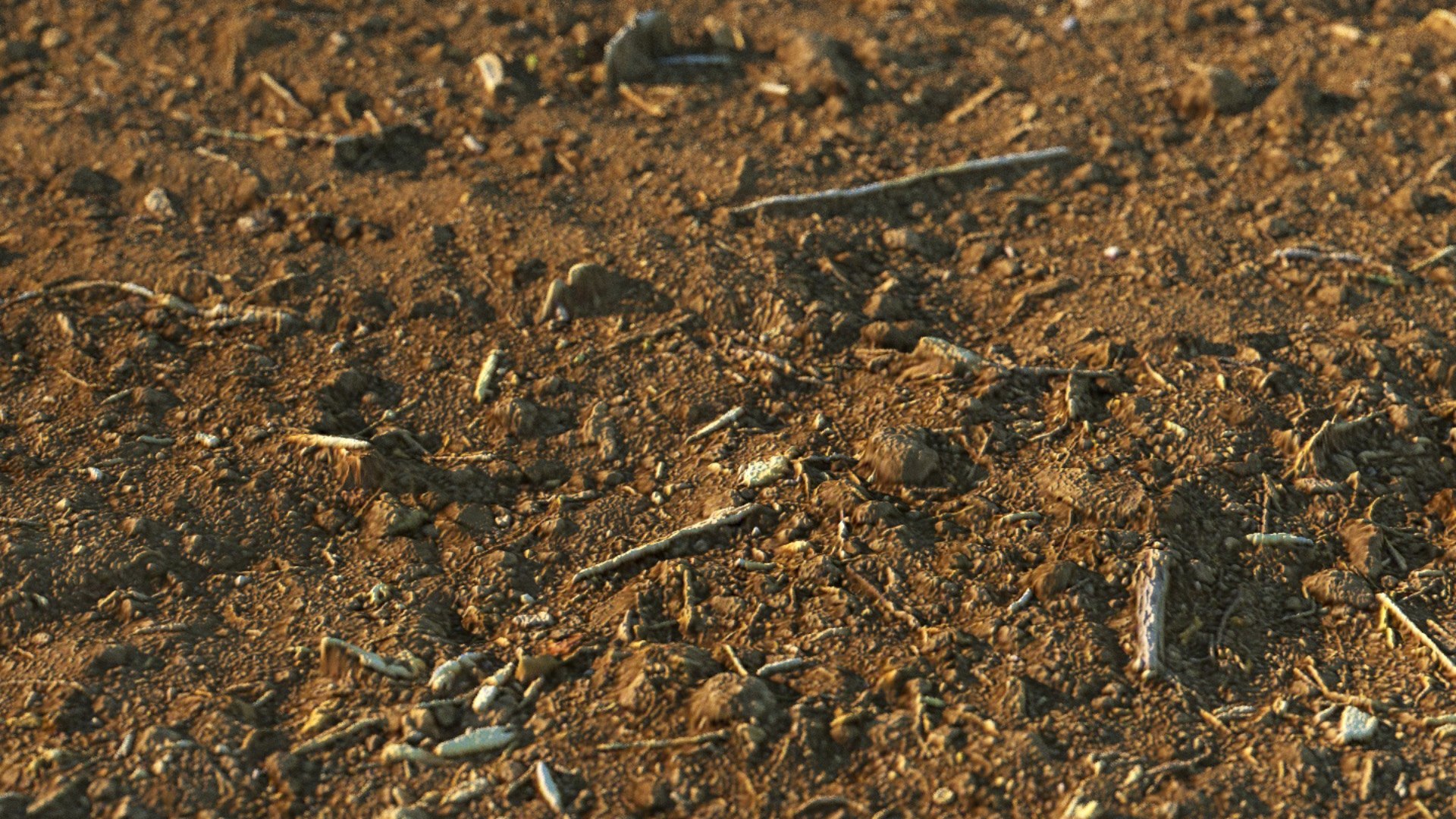 3D Loose Soil Material 03 - TurboSquid 1913170