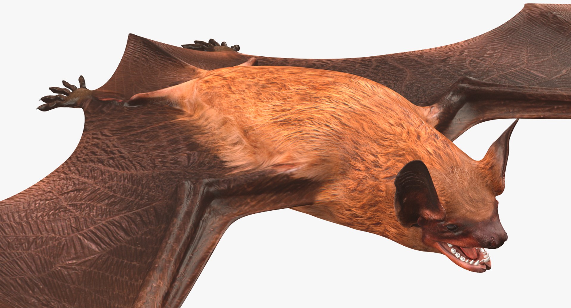 Bat Rigged 3d Model