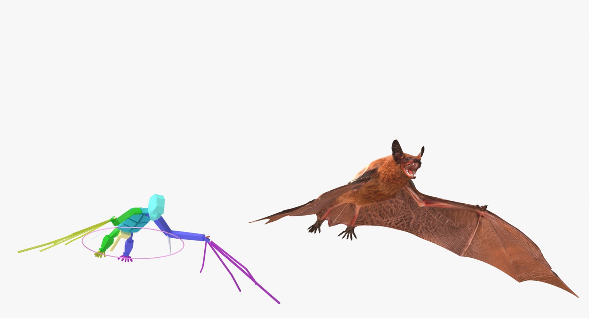 Bat Rigged 3d Model