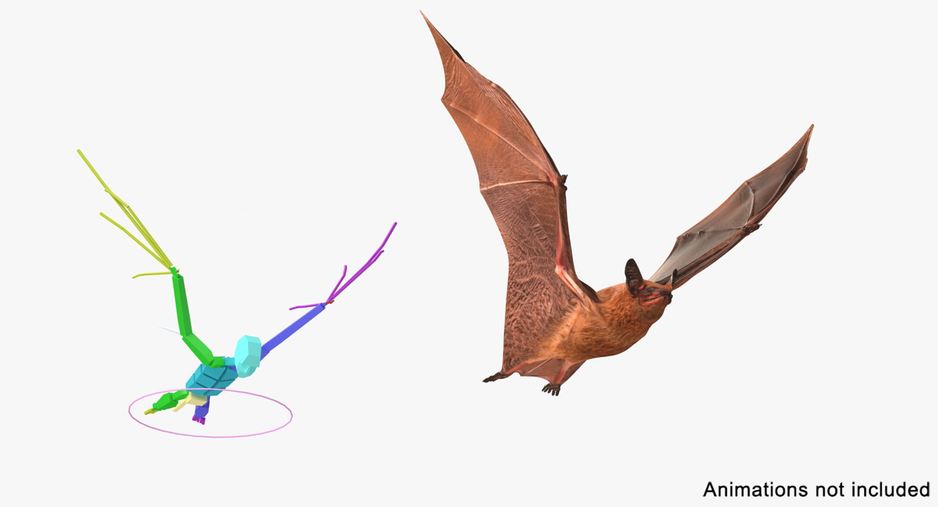Bat Rigged 3d Model