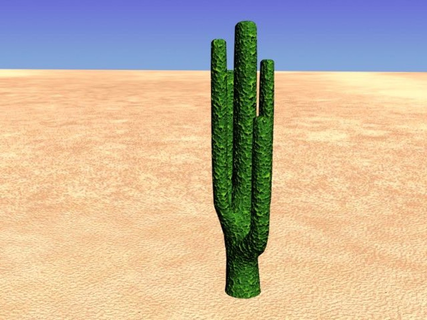 3d 10 Cactus Plants Cactuses Model
