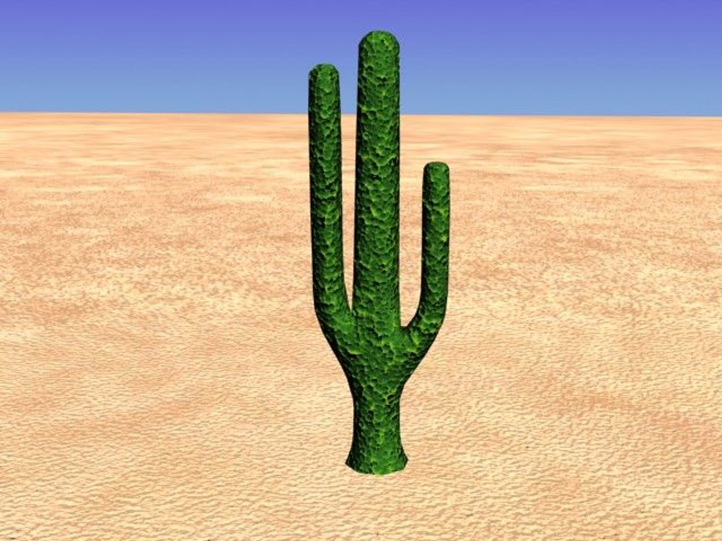 3d 10 Cactus Plants Cactuses Model