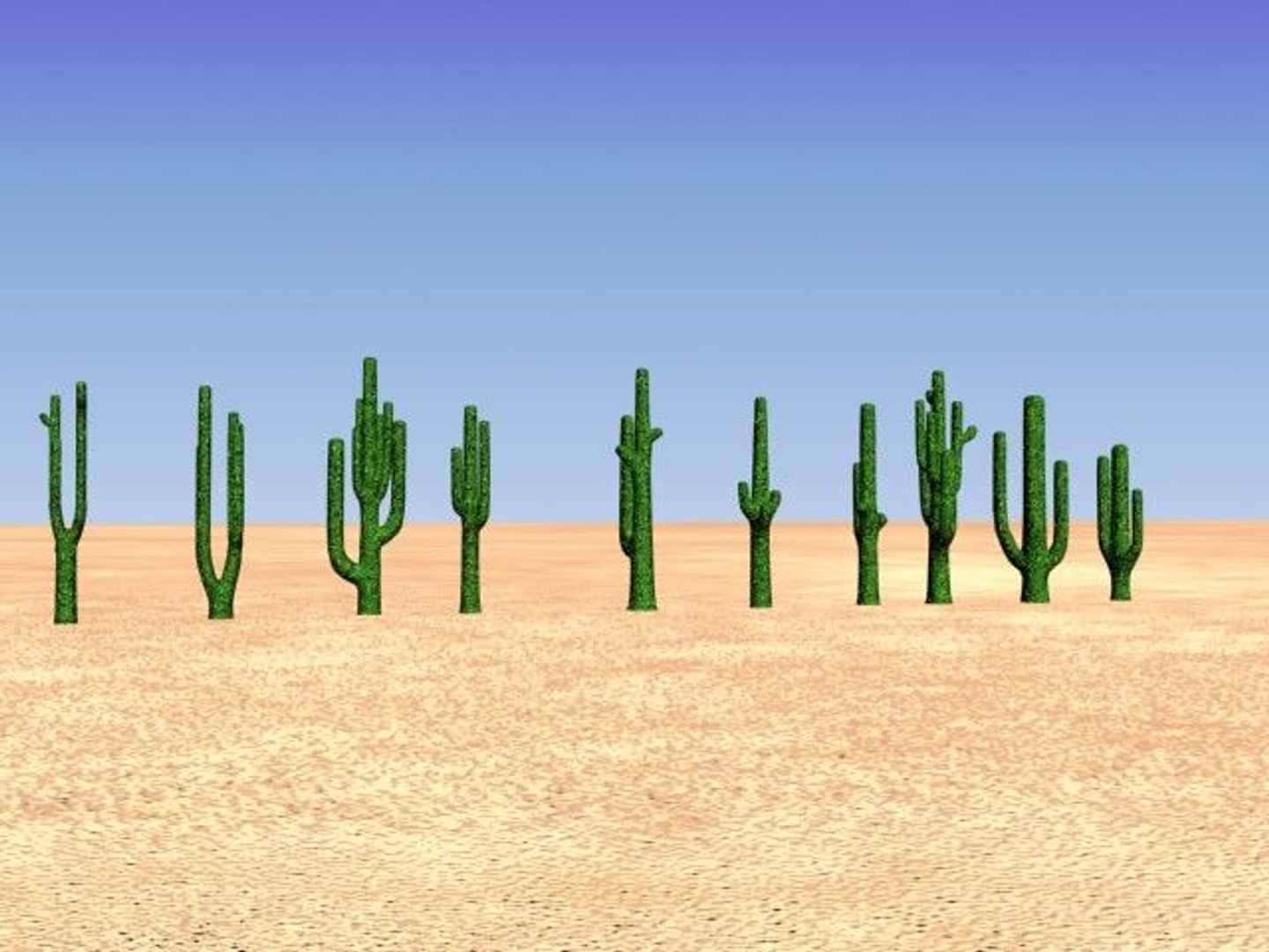 3d 10 Cactus Plants Cactuses Model