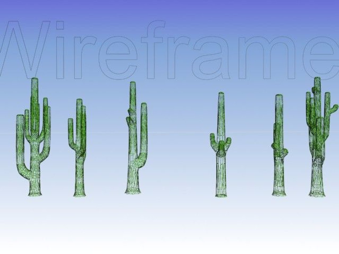 3d 10 Cactus Plants Cactuses Model