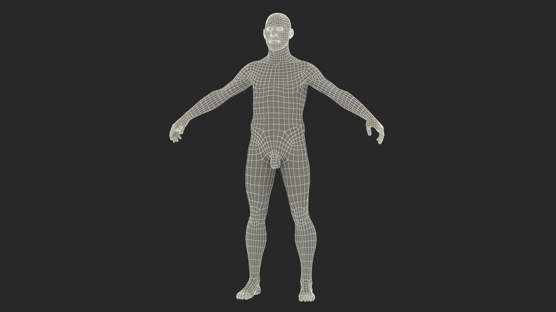 Cro-Magnon Human T-Pose Fur 3D model - TurboSquid 2166935