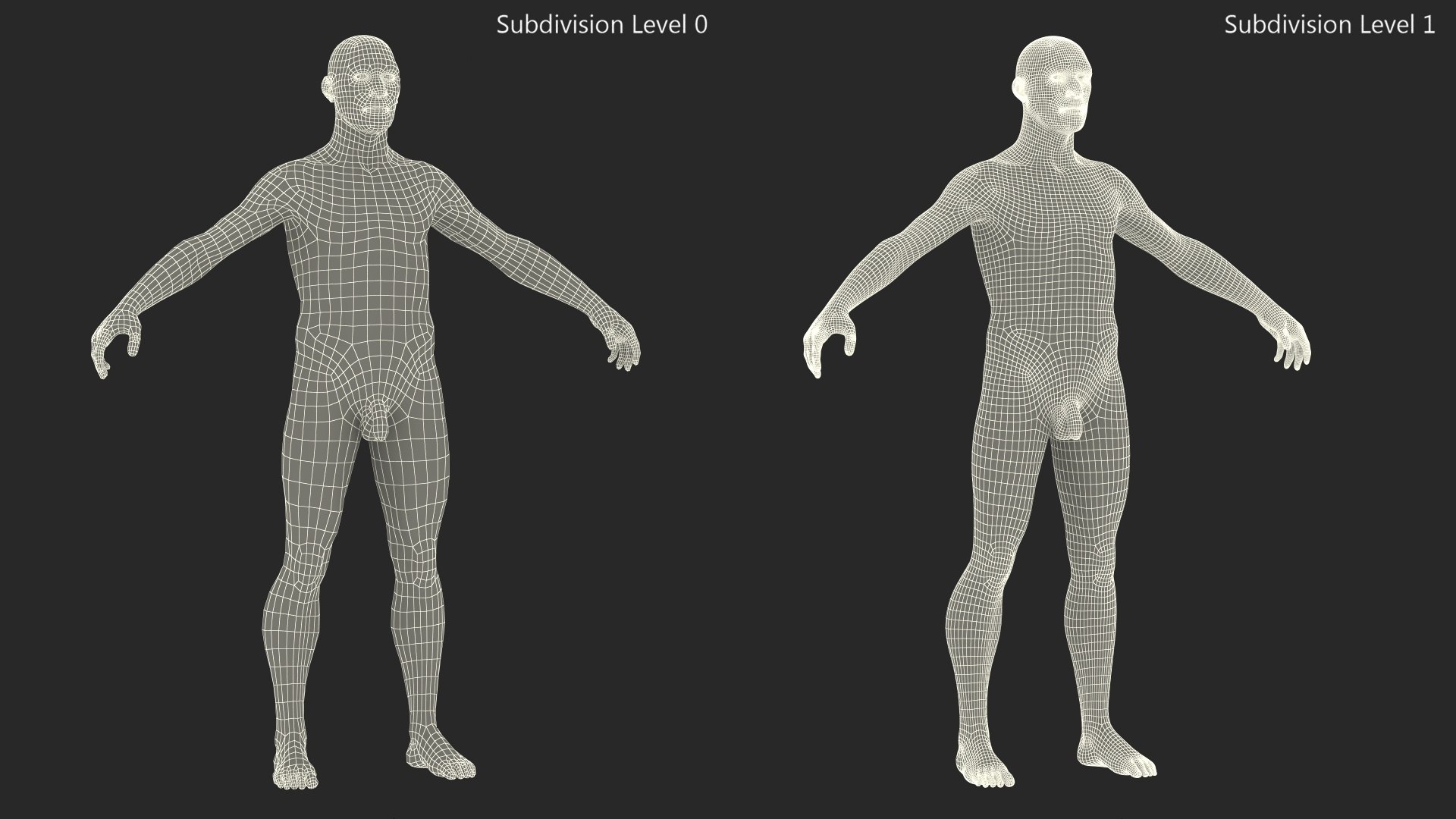 Cro-Magnon Human T-Pose Fur 3D model - TurboSquid 2166935