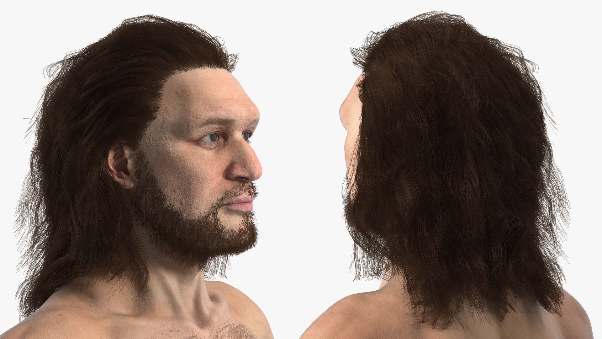 Cro-Magnon Human T-Pose Fur 3D model - TurboSquid 2166935