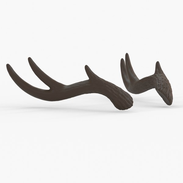 3D Antlers Models | TurboSquid