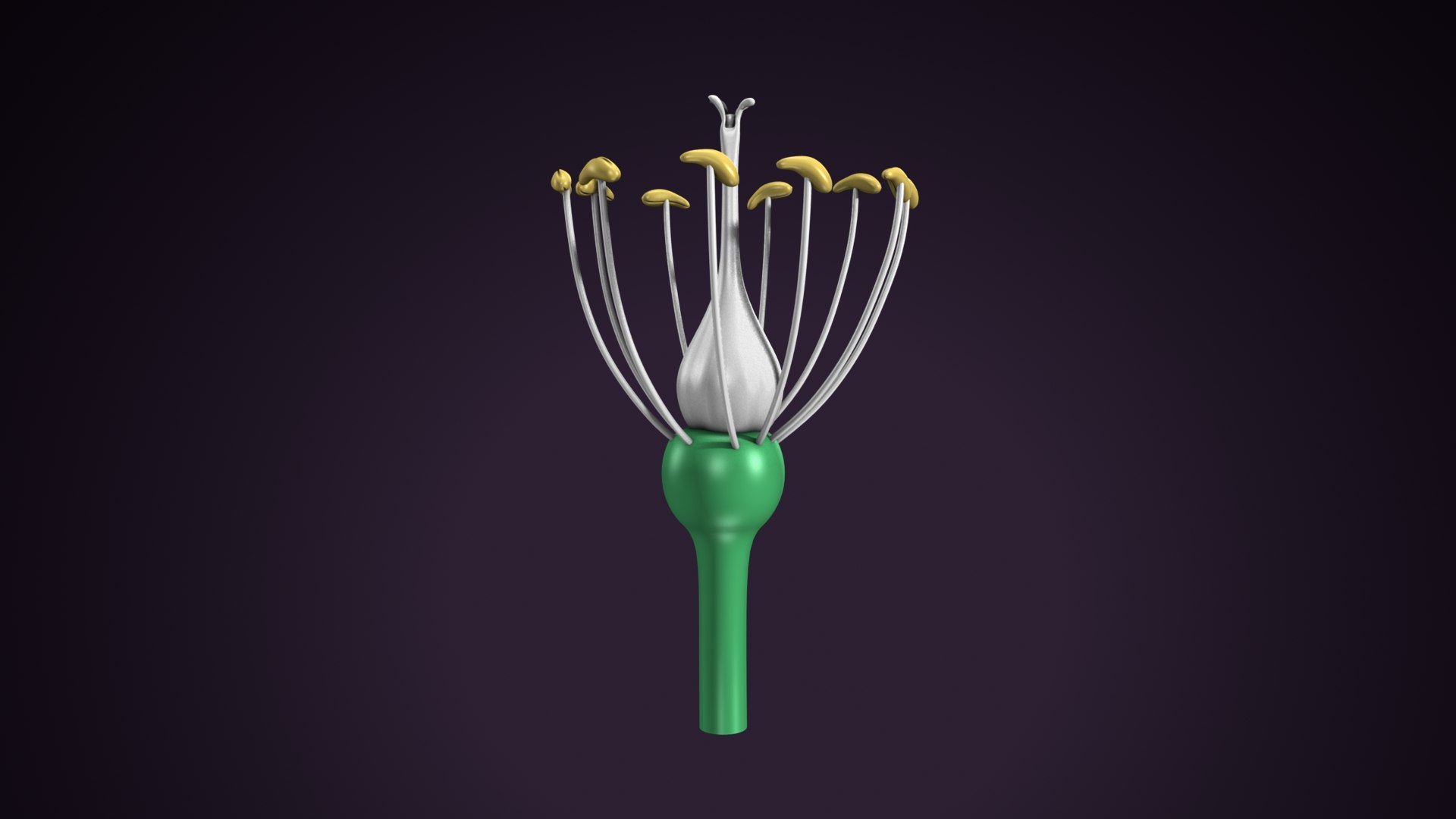 Anther Flower 3D Model - TurboSquid 1825781