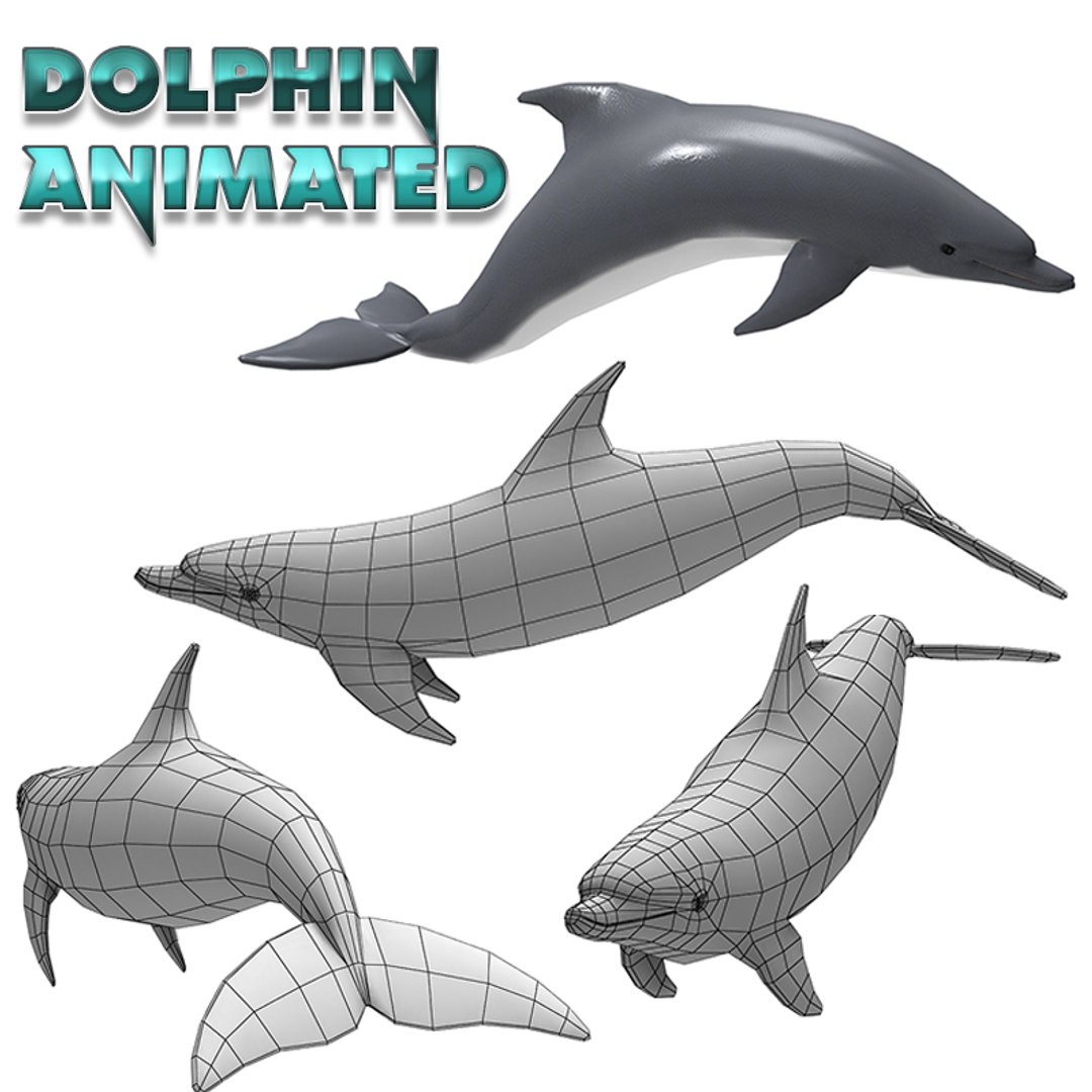 modelo 3d Animacion de delfines - TurboSquid 1016622