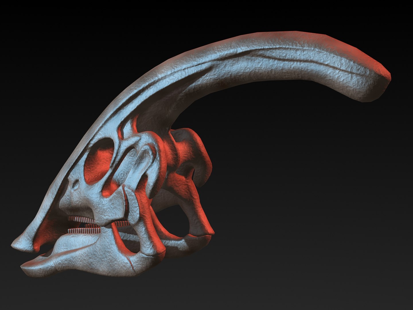 Parasaurolophus Skull