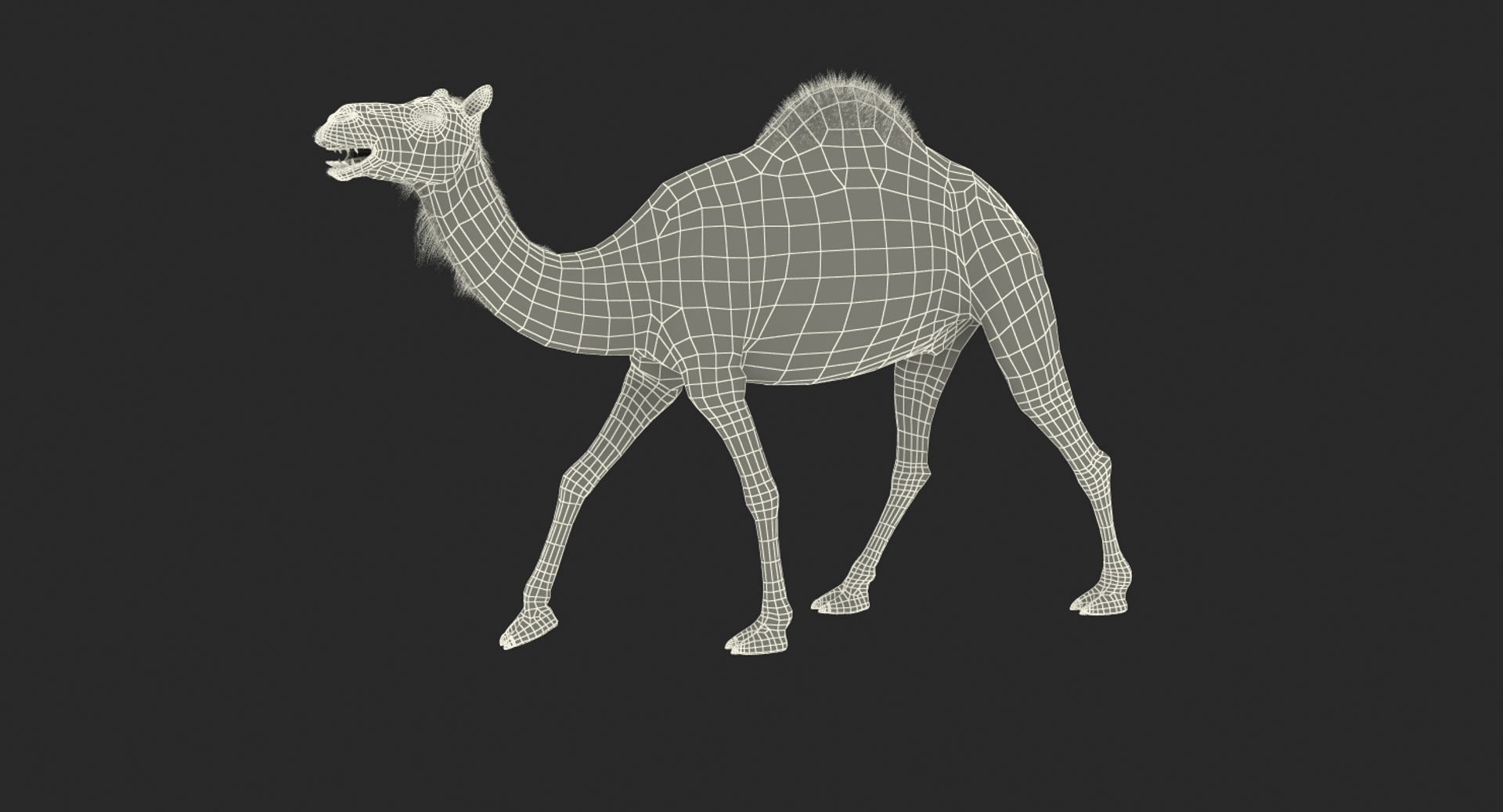 Camel Walking Pose Max