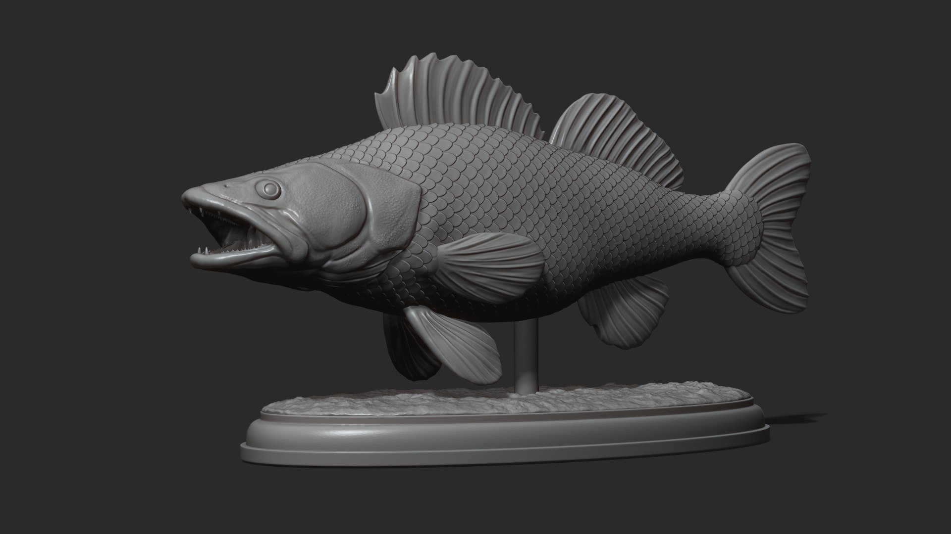 Zander on the base 3D model - TurboSquid 2182925