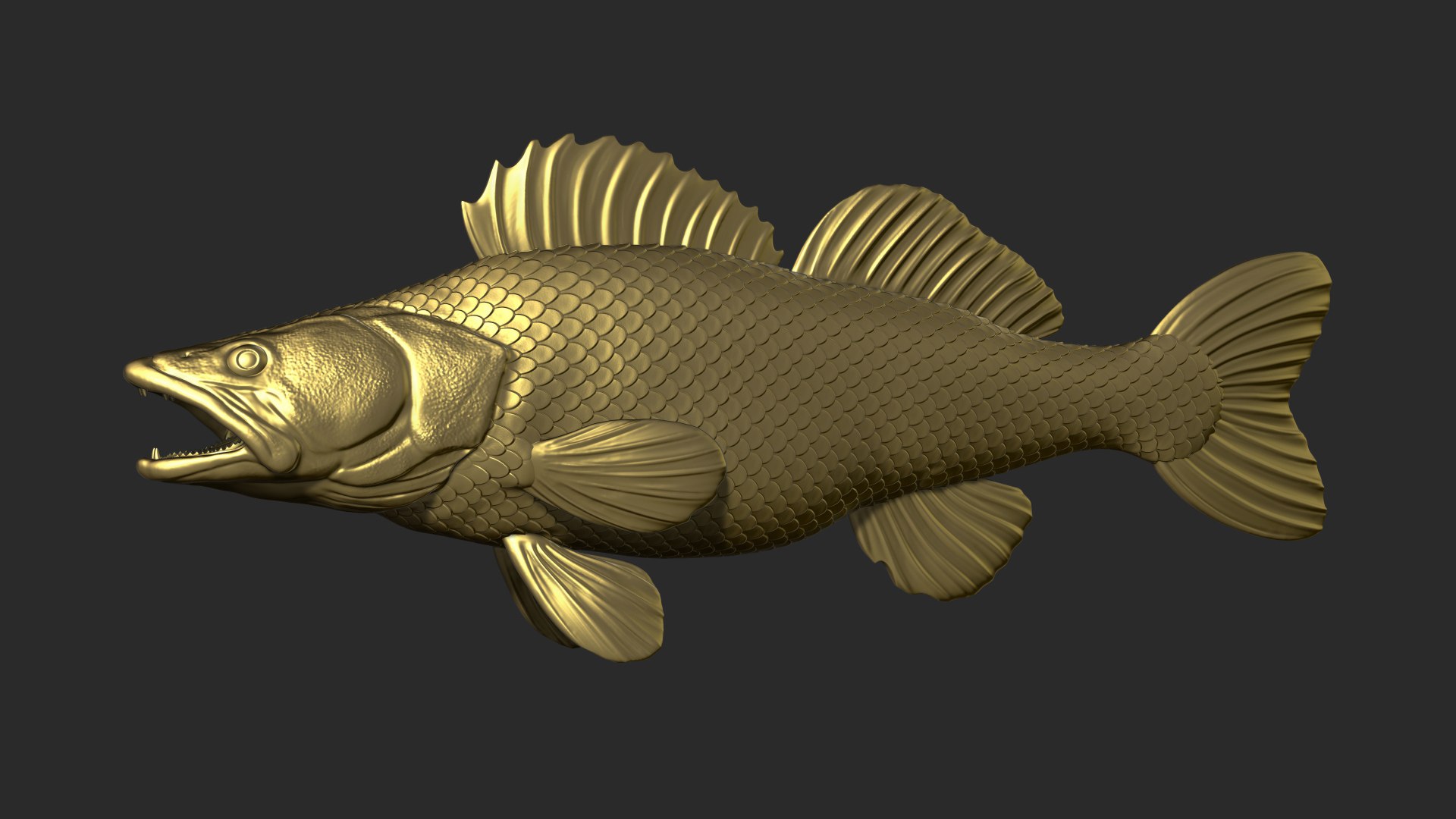 Zander on the base 3D model - TurboSquid 2182925