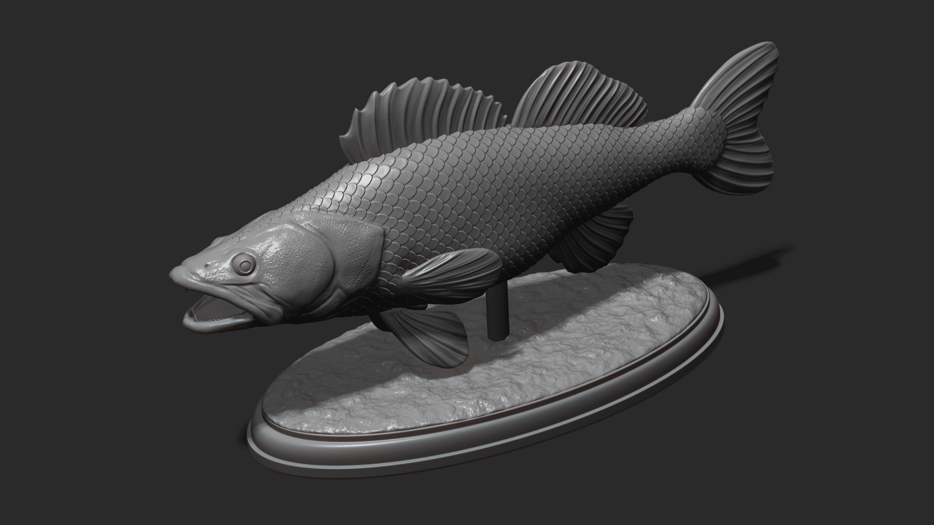 Zander on the base 3D model - TurboSquid 2182925