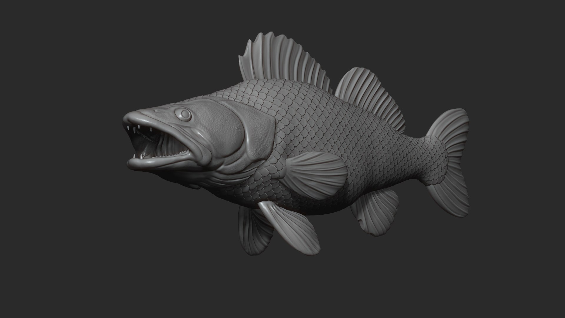 Zander on the base 3D model - TurboSquid 2182925