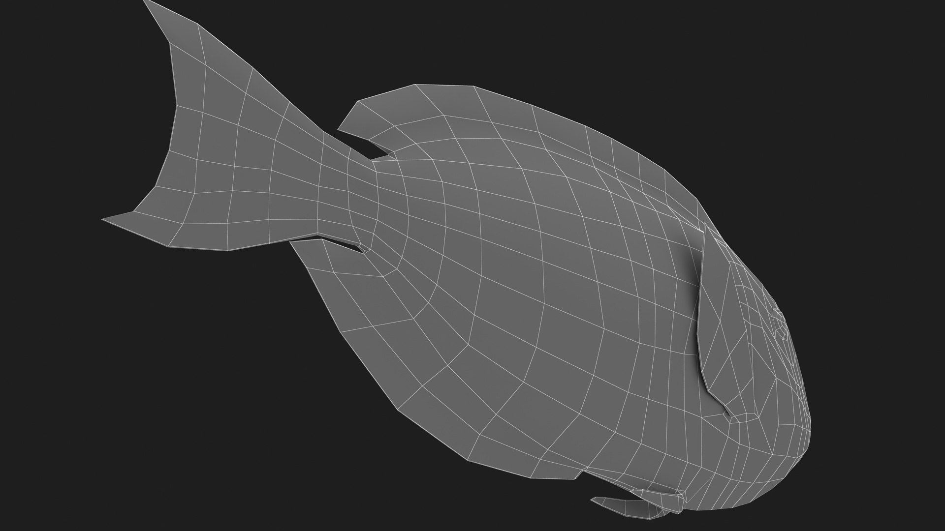 Blue Tang Animation 3D - TurboSquid 1503702