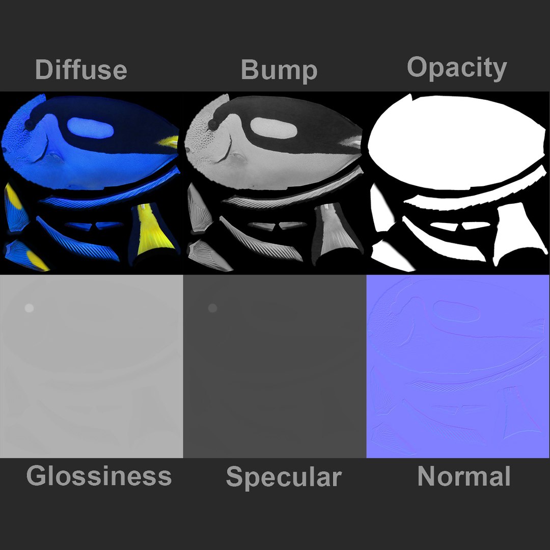 Blue Tang Animation 3D - TurboSquid 1503702